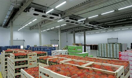 Endüstriyel buzdolapları Inter-Kholod, Almatı eyaleti, foto