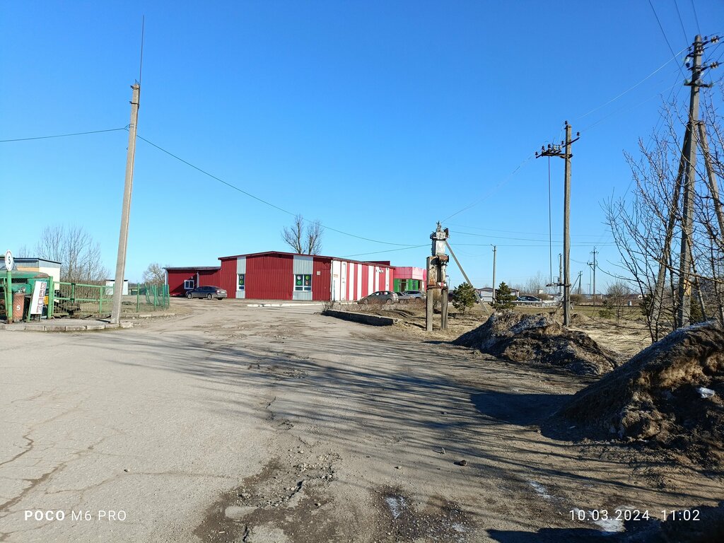 Süpermarket Pyatyorochka, Pytalovo, foto