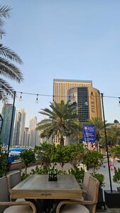 Oregano Dubai Marina (Silverene Tower A, Silverene Towers, Dubai Marina, Jumeirah, Dubai), restoran  Dubai'den