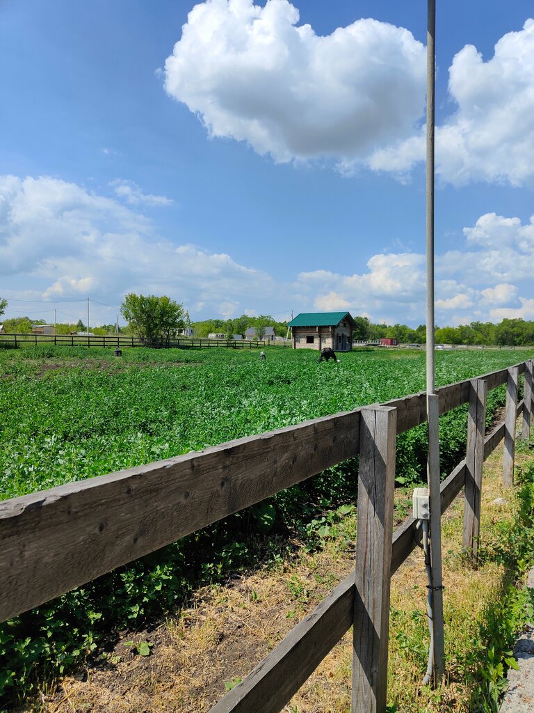 At ve binicilik kulüpleri Личное подсобное хозяйство Яштыловых, , foto
