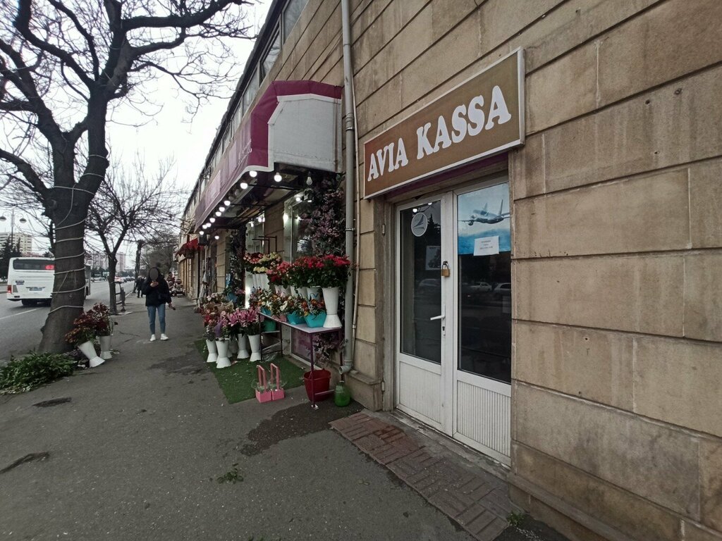 Uçak ve demiryolu biletleri Aviakassa, Bakü, foto