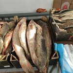 Arzan Fish (Qanış Sätbaev Avenue No:126, Satpayev), balık ve deniz ürünleri  Setbayev'den (Satpayev'den)