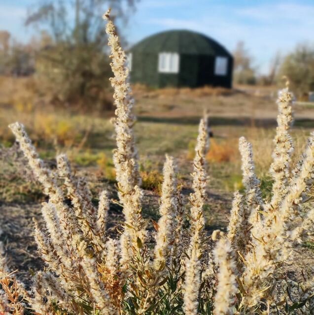Tatil köyleri Bublik, Batı Kazakistan eyaleti, foto