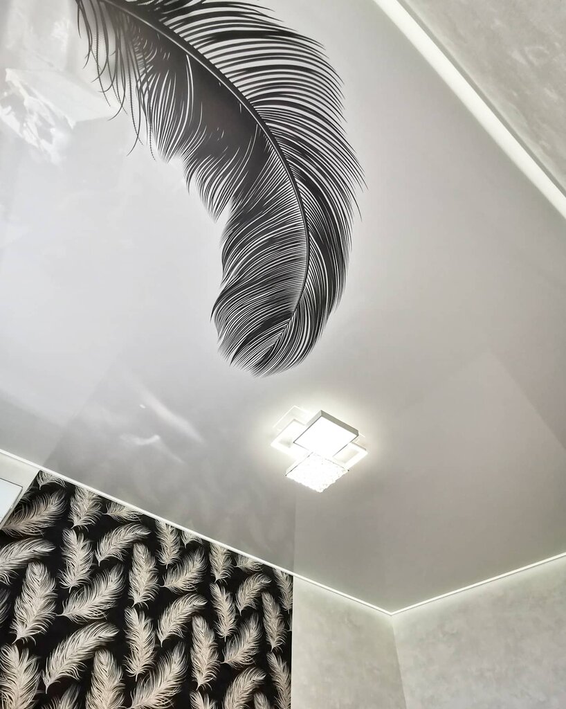 Tavan sistemleri Галерея Потолков, Habarovsk, foto