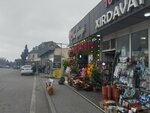 Yaz Çiçəyi (Mеhеmmеd Hadi Street No:126B), çiçekçiler  Bakü'den