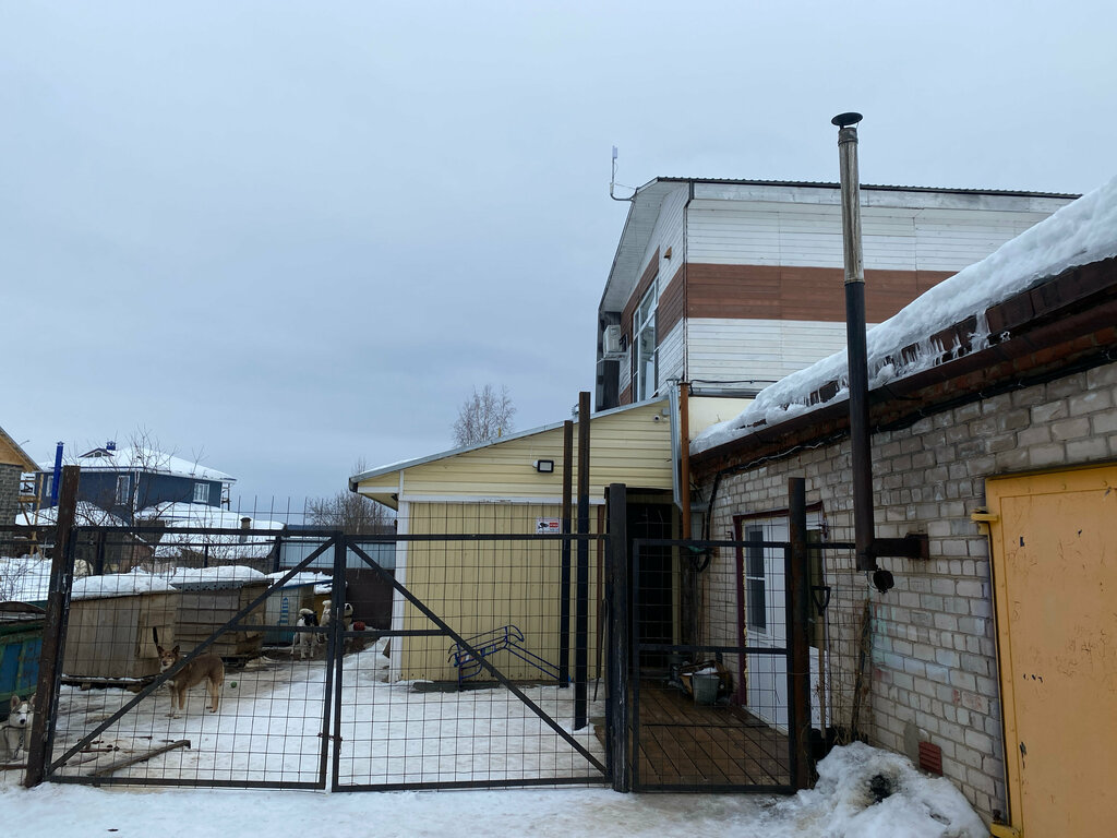 Evcil hayvan yetiştiricileri Приют животных, Velikiy Ustug, foto