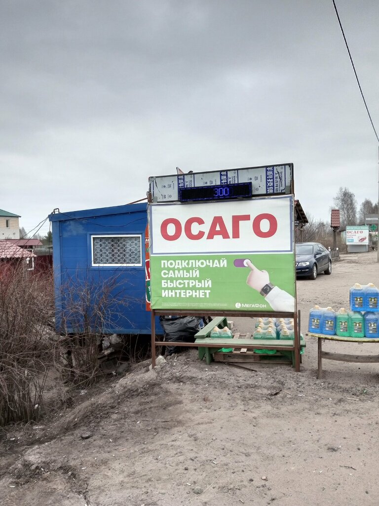 Araç sigorta şirketleri Двадцать первый век, Brianskaya oblastı, foto