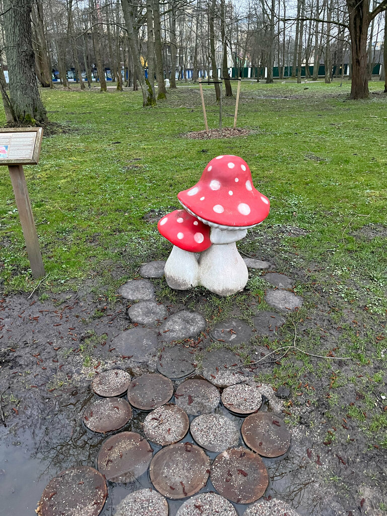 Park, sokak heykeli Мухомор, Zelenogradsk, foto