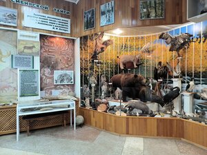 Mbuk Krayevedchesky muzey (ulitsa Karla Marksa No:67), müzeler ve sanat galerileri  Ust‑Ilimsk'ten