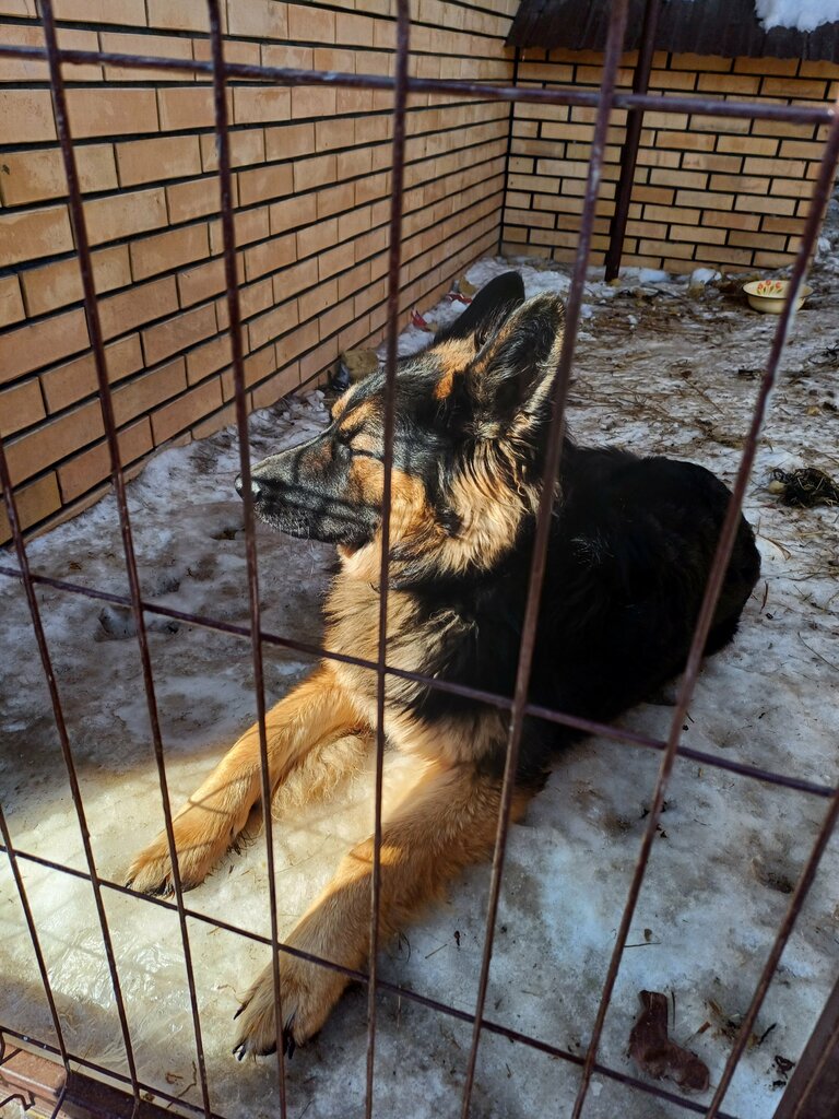 i̇ş merkezi Tokyo Midtown Hibiya, Tokyo, foto