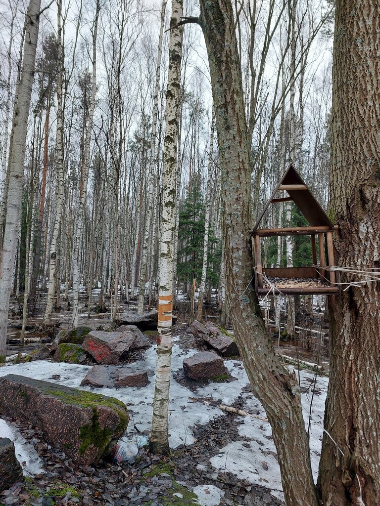 Turistik yerler Юнтоловский мост, Saint‑Petersburg, foto