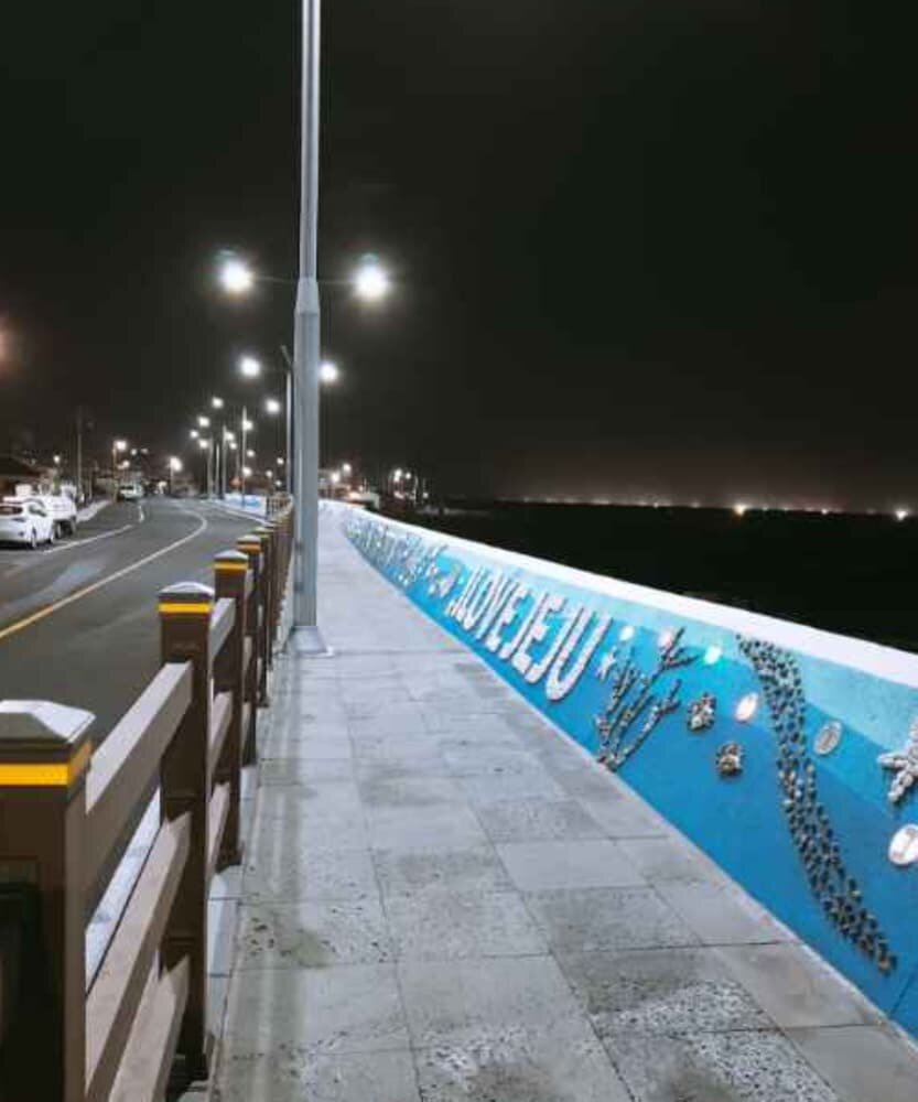 Otel Bleu Private Pension, Chjechju, foto