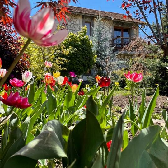 Otel Grig House Eco Resort, Lori, foto