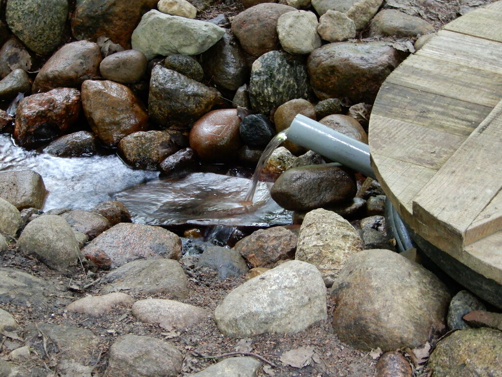 Pınar, çay Spring, stream, Saint‑Petersburg ve Leningradskaya oblastı, foto
