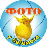 Foto u Begemota (70 Let Oktyabrya Street No:31с1), fotoğraf hizmetleri  Tolyatti'den (Togliatti'den)