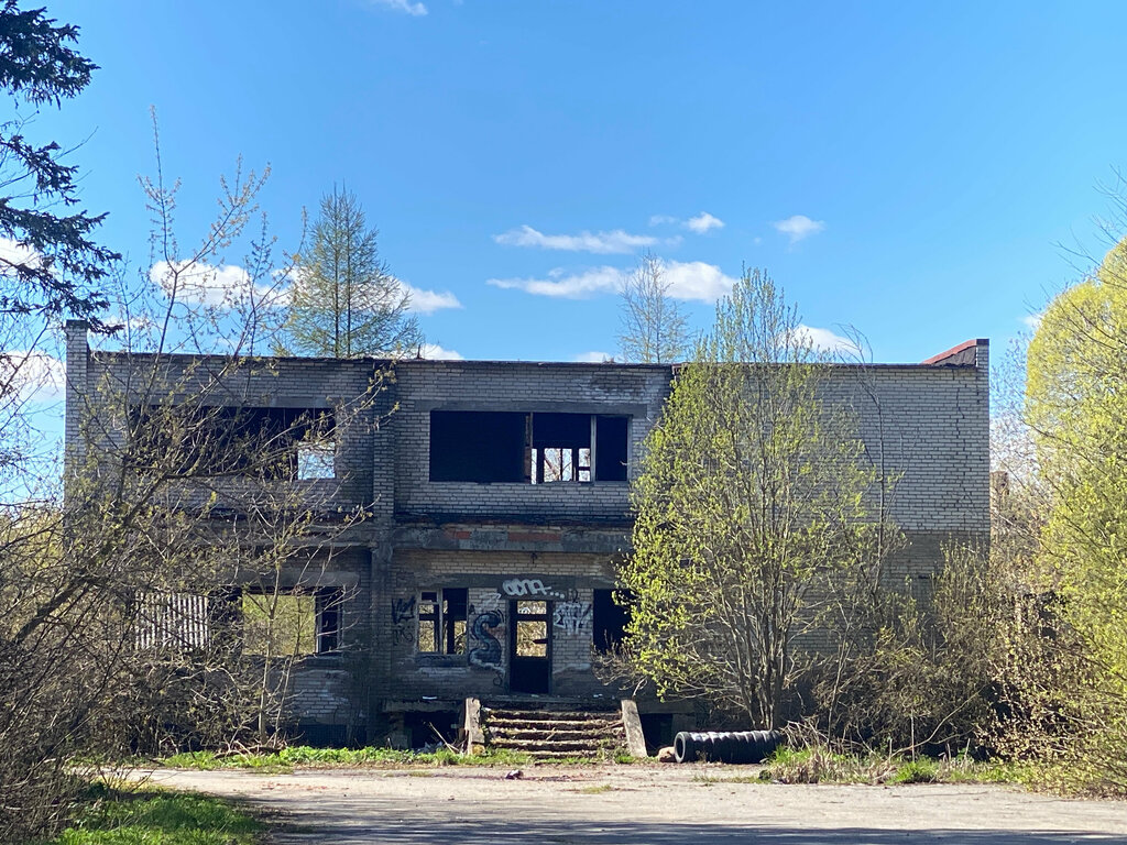 Orman işleri Tervolovsky lesnoy pitomnik, Saint‑Petersburg ve Leningradskaya oblastı, foto