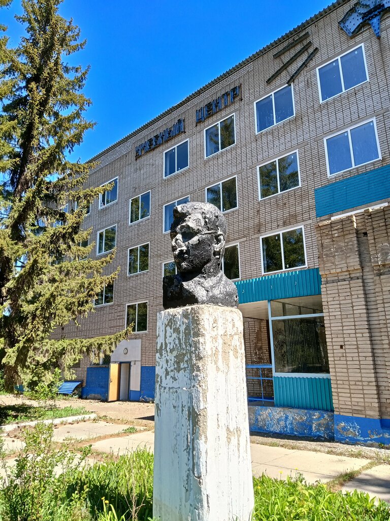 Anıt, heykel И.М. Губкин, Leninogorsk, foto