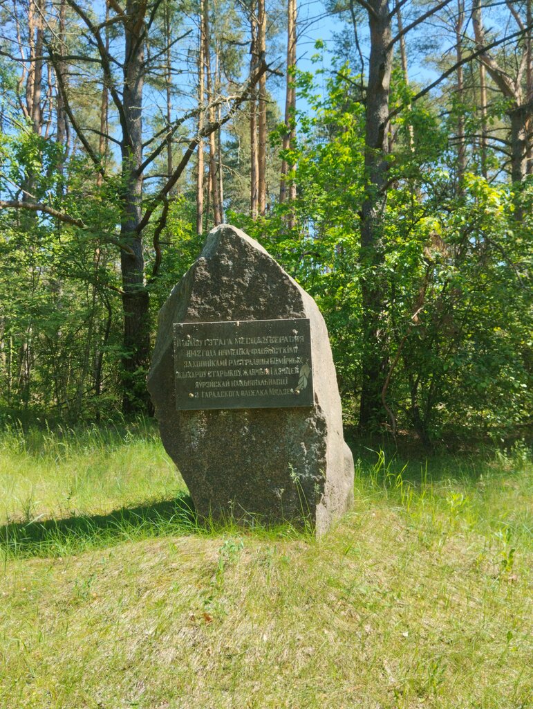 Anıt, heykel Памятник расстрелянным в годы ВОВ мирным жителям Мяделя, Minskaya oblastı, foto