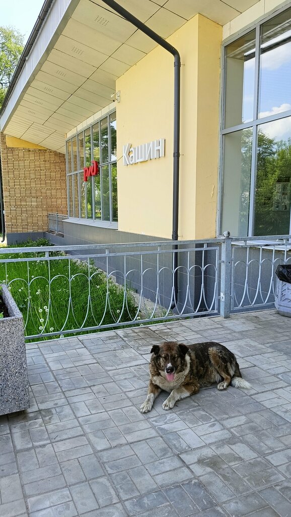Tren garları Railway station, Kashin, foto