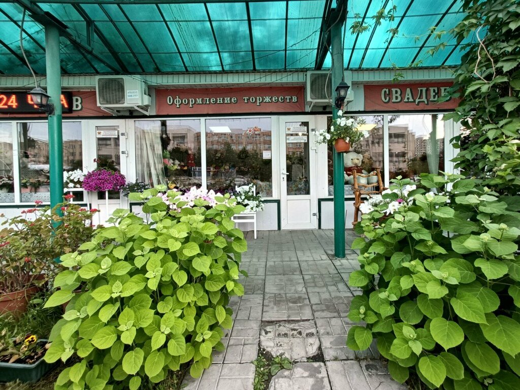 Çiçekçiler Magazin cvetov, Tolyatti (Togliatti), foto