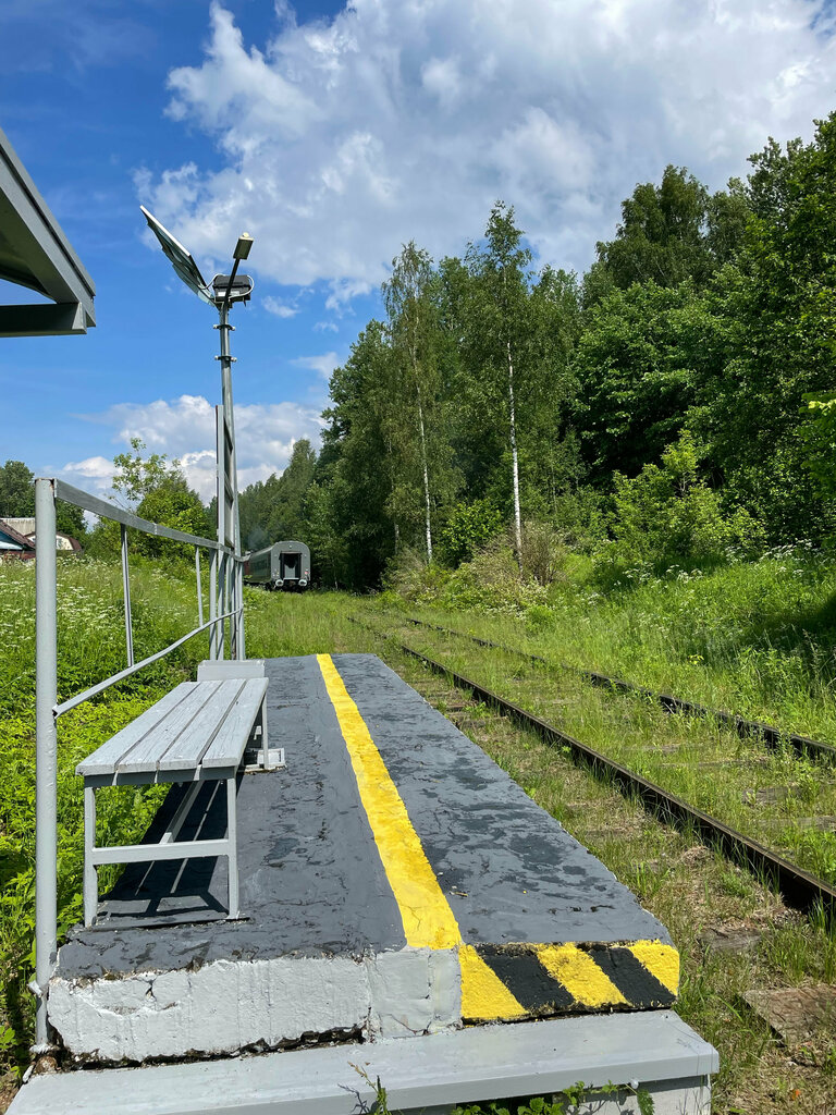 Tren istasyonu 22 км, Saint‑Petersburg ve Leningradskaya oblastı, foto