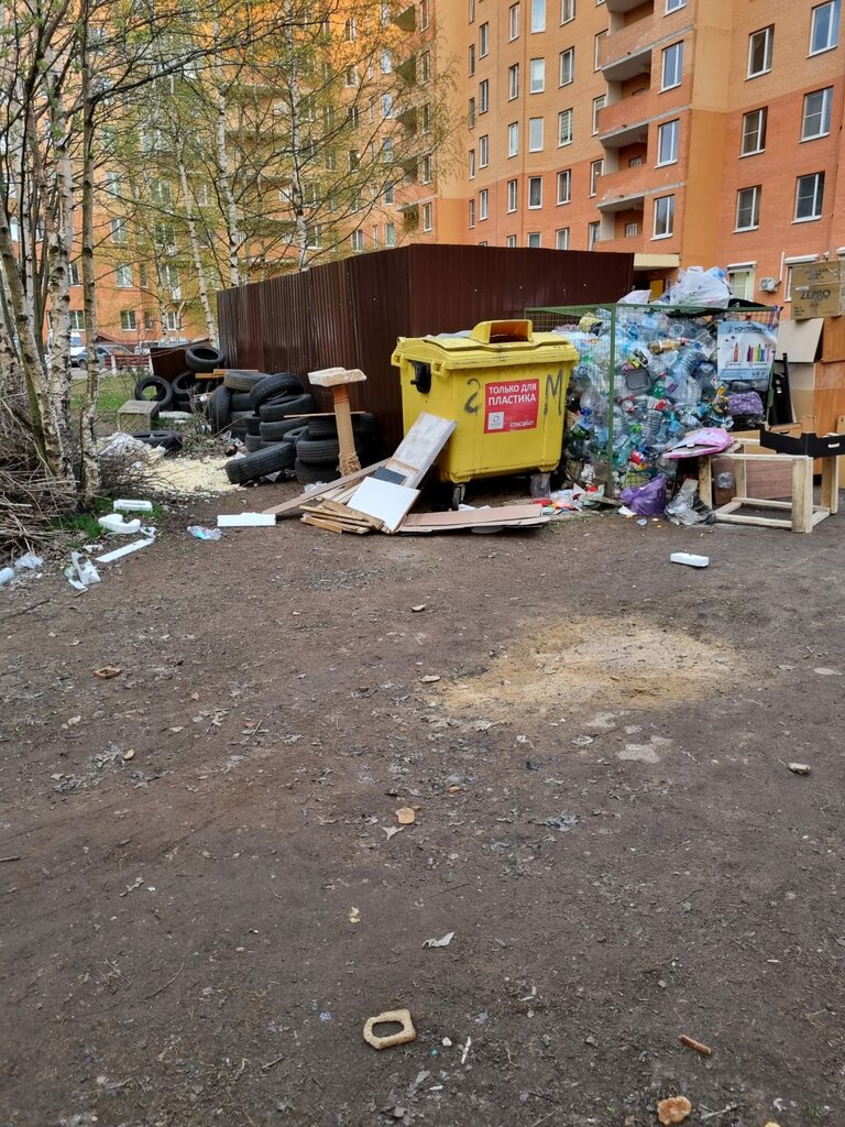 Çöp alanları Trash and garbage disposal area, Vsevolgsk, foto