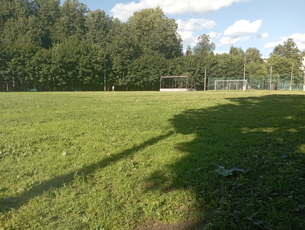 Spor alanı Футбольное поле, Moskova ve Moskovskaya oblastı, foto