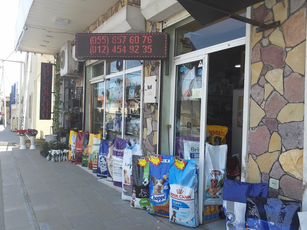Petshop Zoo magaza, Bakü, foto