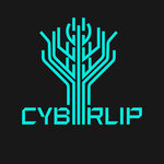 CyberLip (A.G. Stakhanova Street No:59), bilgisayar kulübü  Lipetsk'ten