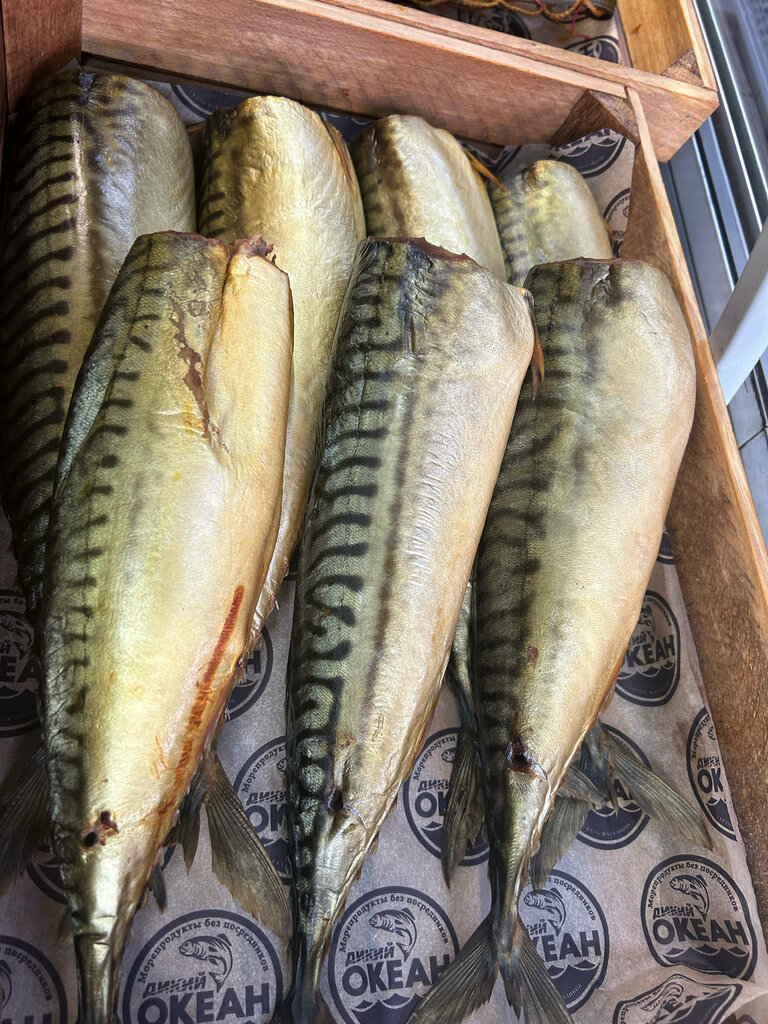 Balık ve deniz ürünleri Океан, Krasnodarski krayı, foto