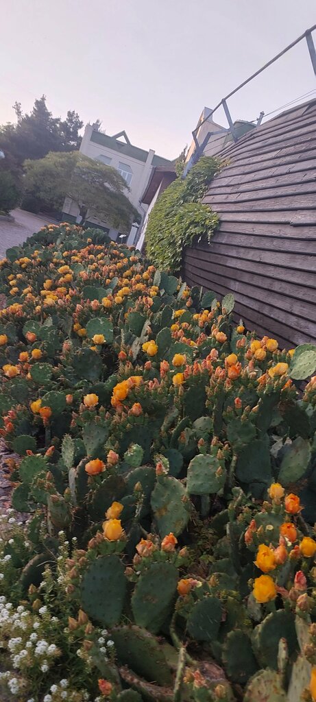 Tatil altyapısı Санаторий Мечта, корпус № 4, Yevpatorya, foto