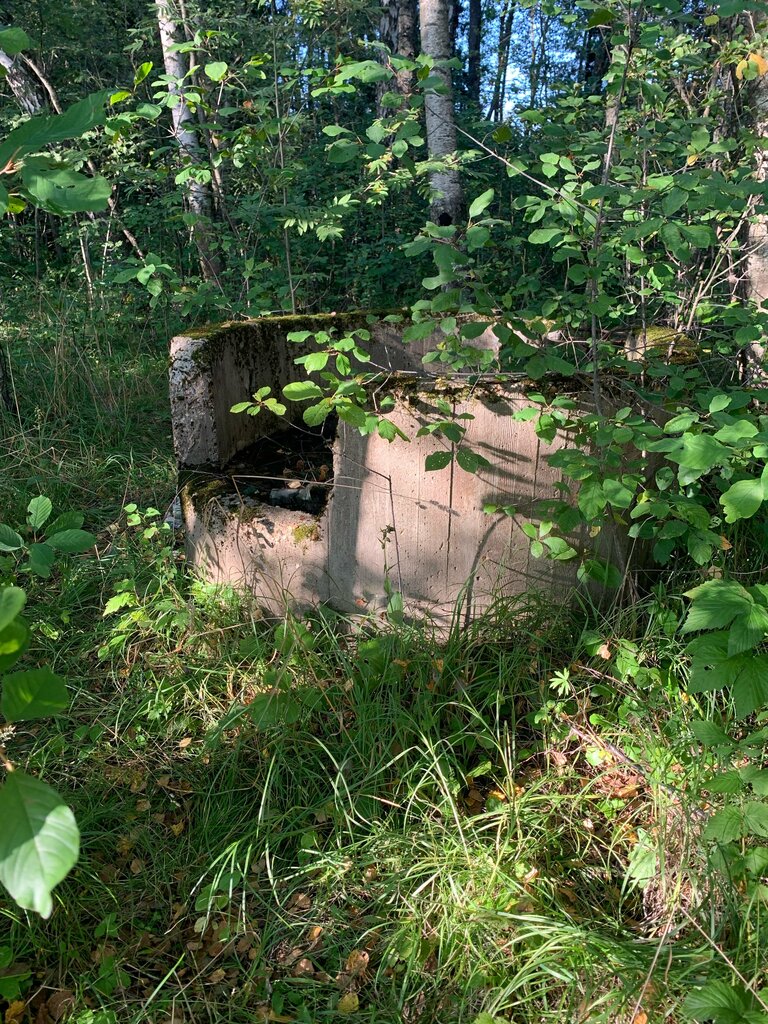 Turistik yerler Железобетонная пулемётная огневая точка, Moskova ve Moskovskaya oblastı, foto