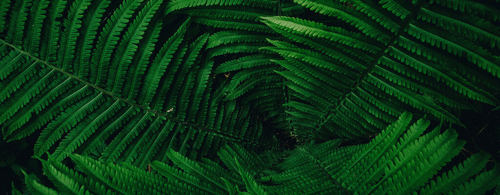 Danışmanlık hizmetleri Es Mühendislik, İstanbul, foto