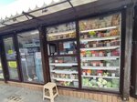 Магазин овощей и фруктов (Lizyukov street No:4Е, Voronezh), manavlar  Voronej'den