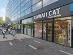 Kawaii Cat (Dacia Boulevard No:14/1), hediyelik eşya mağazaları  Kişinev'den