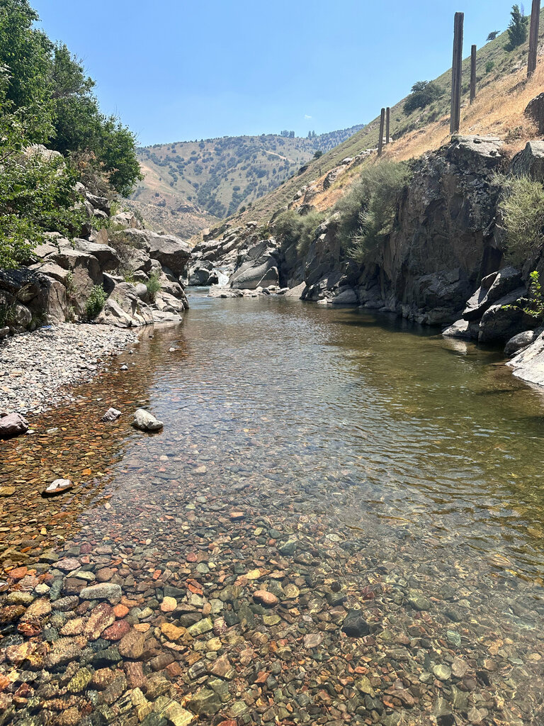 Piknik alanı Picnic Area, Taşkent eyaleti, foto