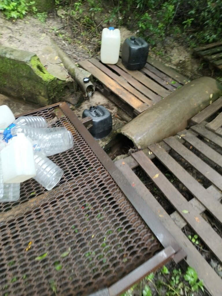Pınar, çay Spring, stream, Moskova ve Moskovskaya oblastı, foto