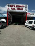 Delta Otomotiv (Van, Tuşba, Seyrantepe Mah., Sanayi Sitesi 21. Sok., 3R), otomobil servisi  Van'dan