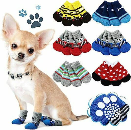 Petshop Elite Pets Trading Block A3, Dubai, foto