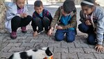 Kemaliye İlçe Milli Eğitim Müdürlüğü (İshakpaşa Mah., Cumhuriyet Cad., No:97, Kemaliye, Erzincan), belediyeler, devlet daireleri  Kemaliye'den