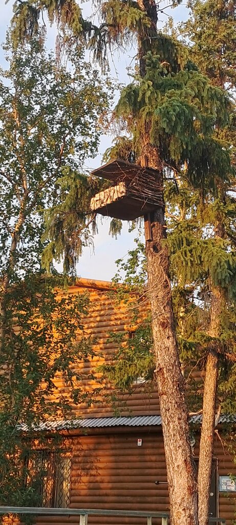 Resort oteller, tesisler Робинзон, Krasnoyarski krayı, foto