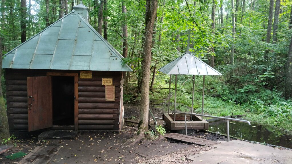 Pınar, çay Spring, stream, Mogiliovskaya oblastı, foto