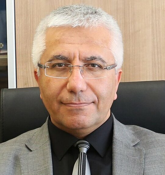 Gazete ve dergiler Sağlık Düşüncesi ve Tıp Kültürü Dergisi, İstanbul, foto