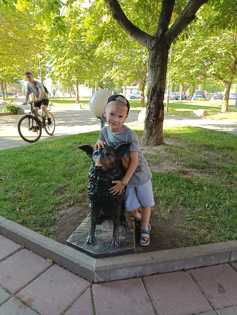 Anıt, heykel Собака Муха, Zelenograd, foto