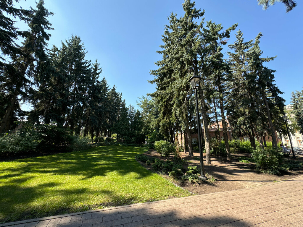 Meydan The Spruce Park, Nijni Novgorod, foto