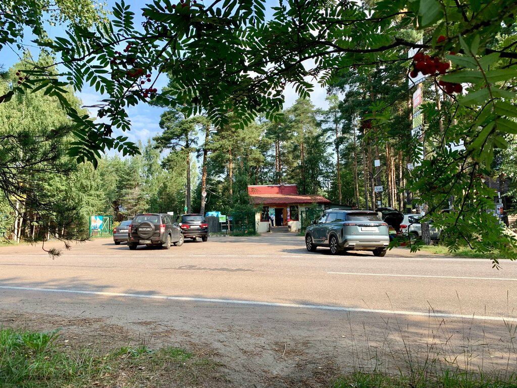 Otoparklar Parking lot, Saint‑Petersburg ve Leningradskaya oblastı, foto