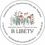 Cut-flower Farm In Bloom (Pskov Region, gorodskoye poseleniye Pushkinogorye, derevnya Podborye), çiçek pazarı  Pskovskaya oblastından