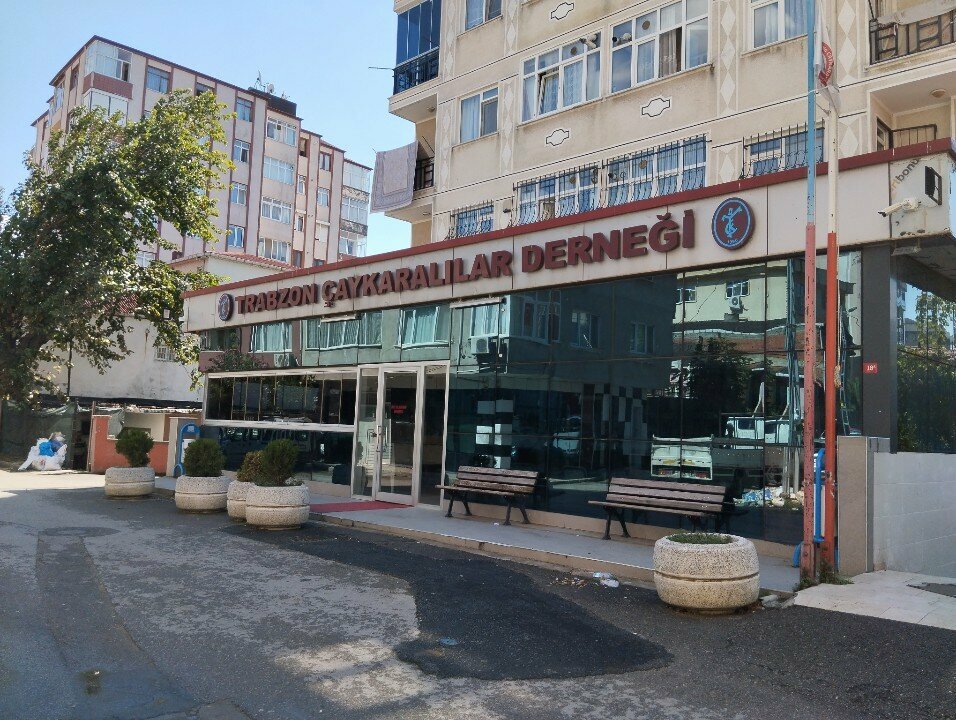 Sendikalar Trabzon ve Çaykaralılar Kültür Dayanışma Derneği, İstanbul, foto