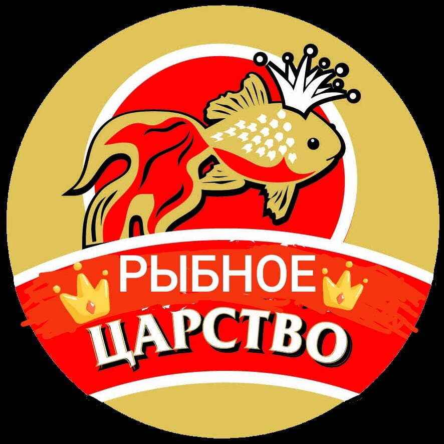 Balık ve deniz ürünleri Рыбное царство, Samarskaya oblastı, foto