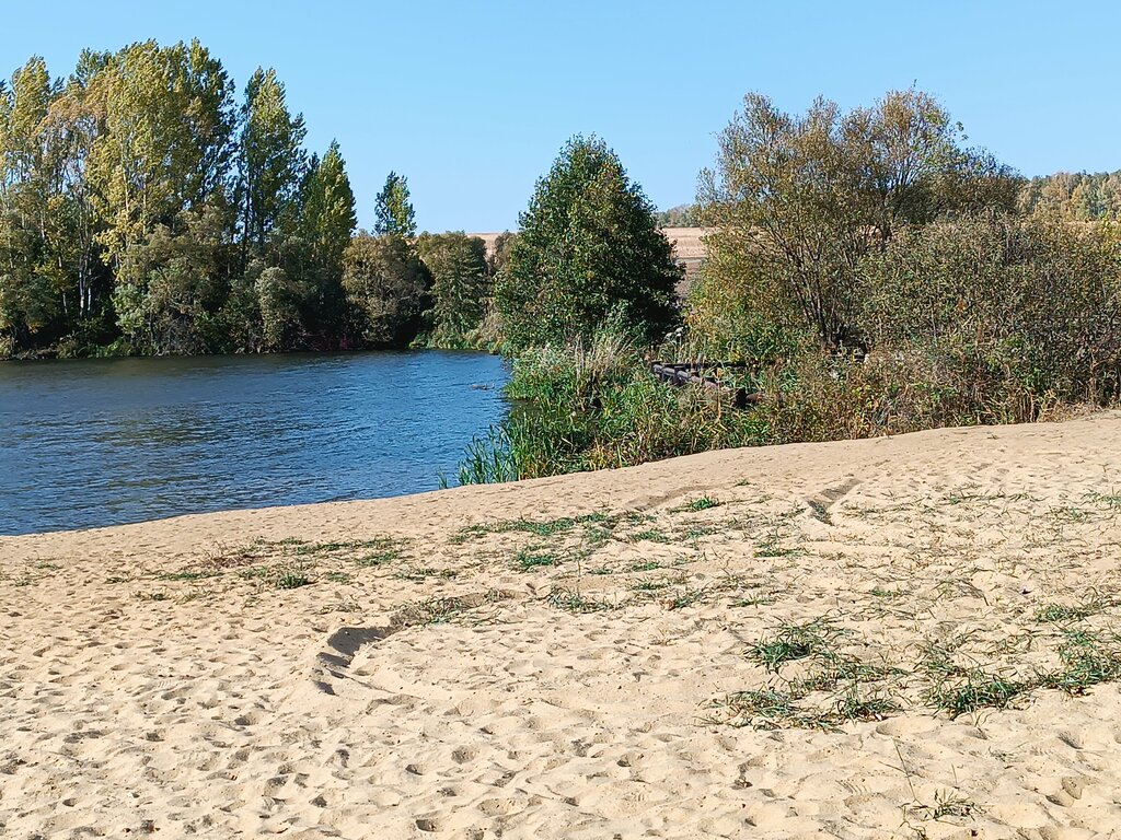 Plaj Пляж, Lipetskaya oblastı, foto